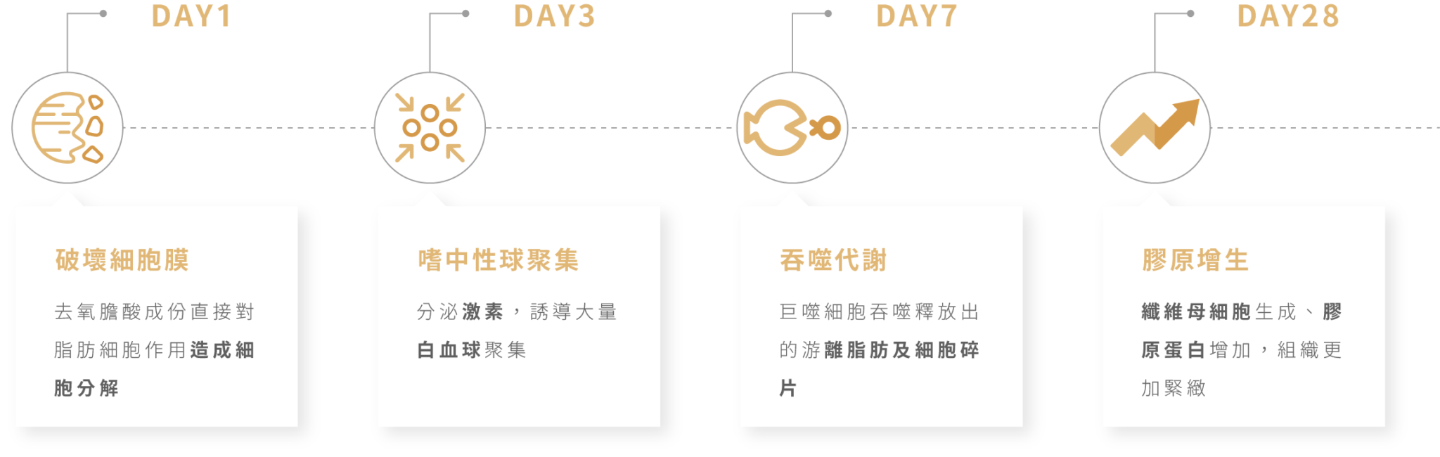 台中溶脂針推薦專業的醫美專家『禾伊美學診所』 - 禾伊美學診所